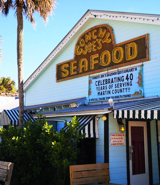 bahamian style florida pie ftr