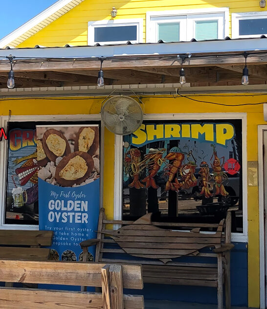 baked oysters florida delicious ftr