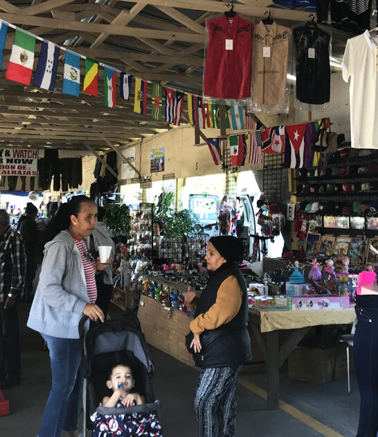 bargain bonanza florida market ftr