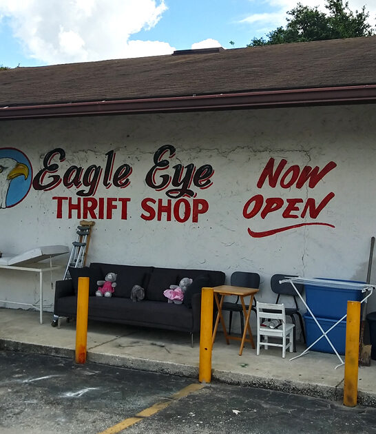 bargain cart mania florida ftr