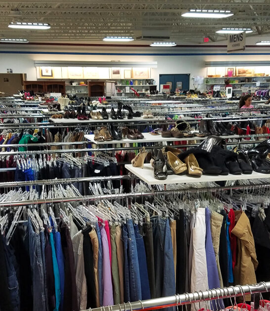 bargain fashion south carolina ftr