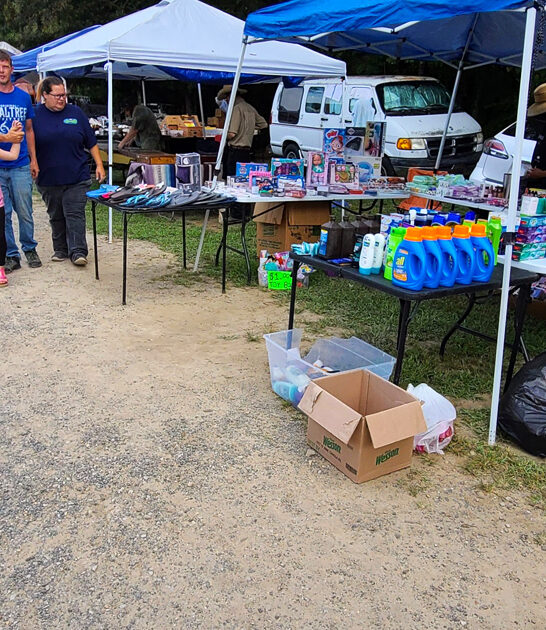 bargain hunting deals tennessee ftr