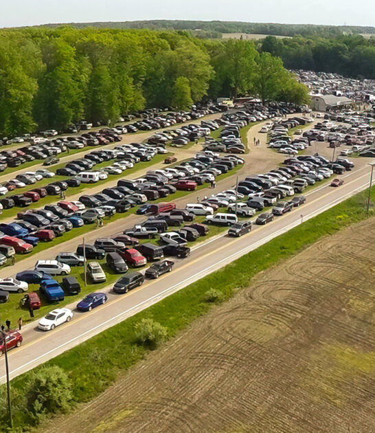 bargain hunting market michigan ftr