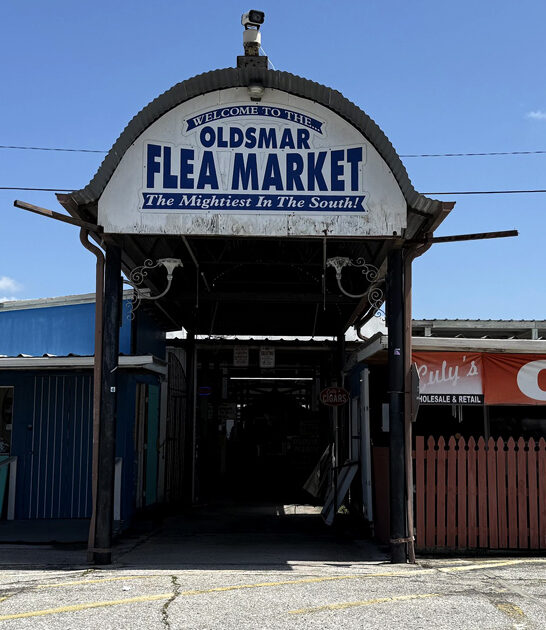 bargain market large florida ftr