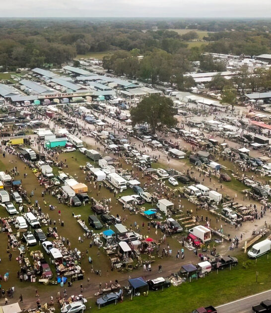 bargain markets florida massive ftr