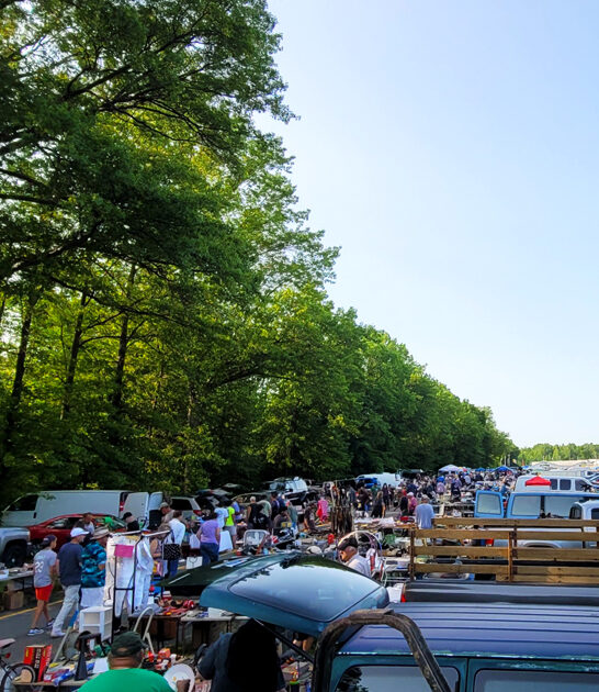 bargains ohio flea market ftr
