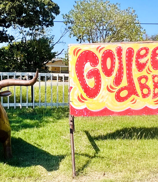 bbq cuisine experience texas ftr