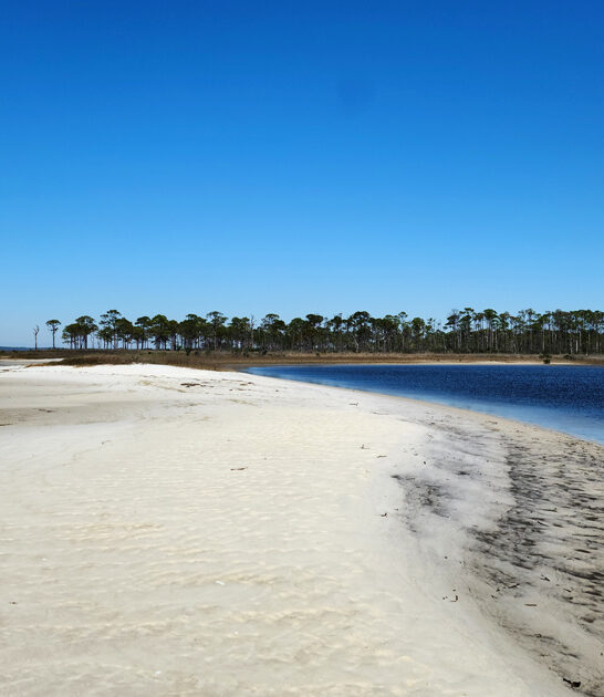 beach florida clearest water ftr
