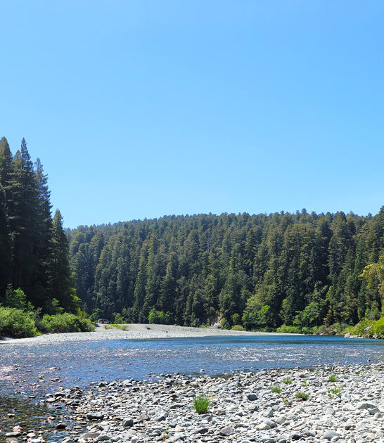 beautiful california state park ftr