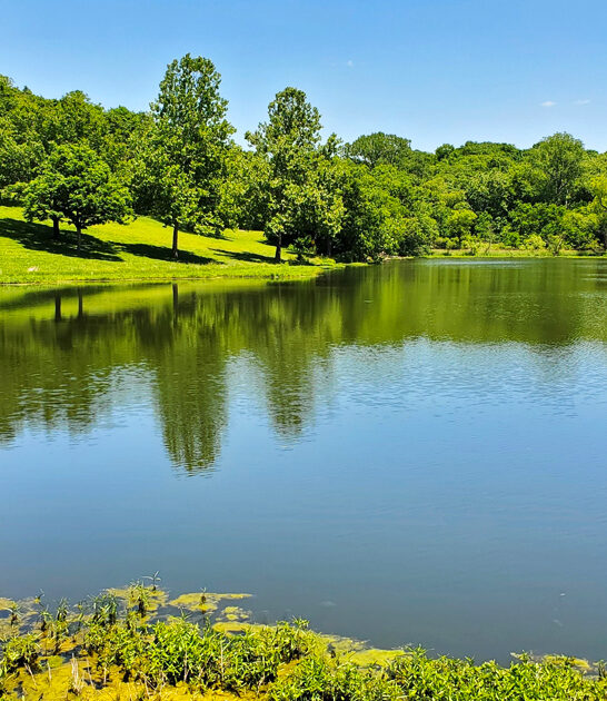 beautiful missouri state park ftr