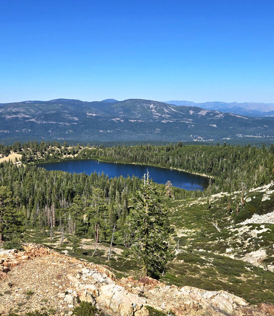 beautiful nature california park ftr