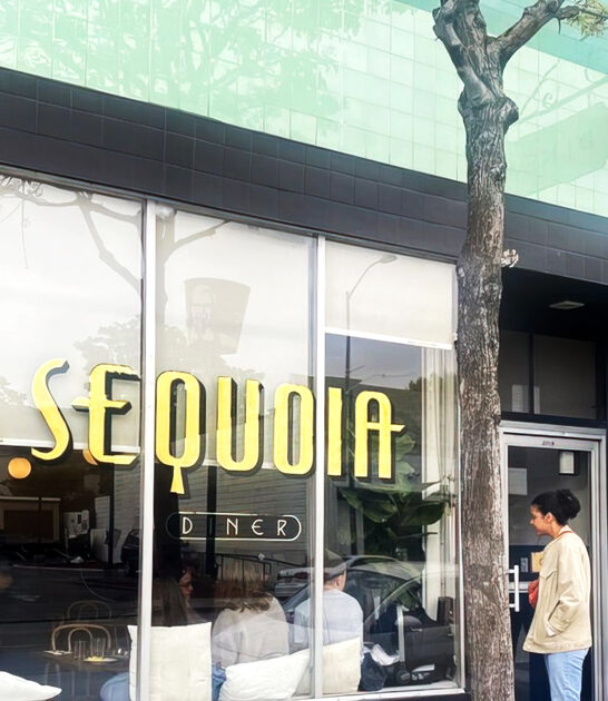 beef hash california diner ftr