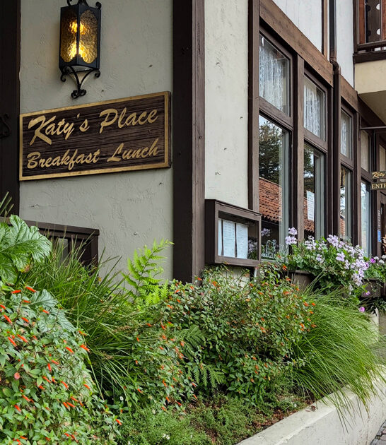 belgian waffles california favorite ftr