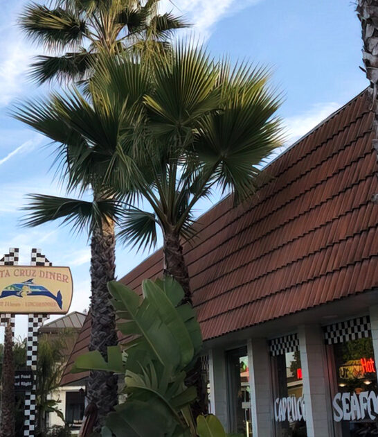 best biscuits diner california ftr