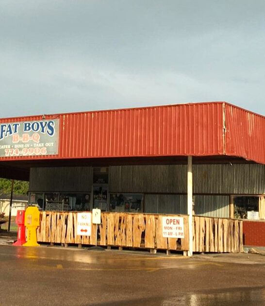 best chicken sandwich texas ftr