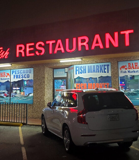 best fish soup florida ftr