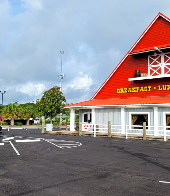 best south carolina omelet ftr