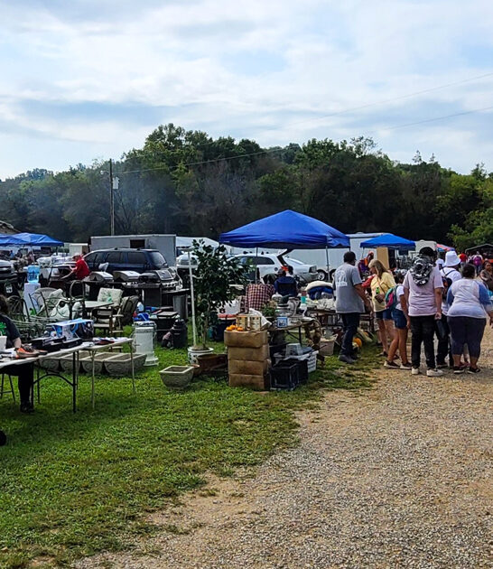 big cheap market tennessee ftr