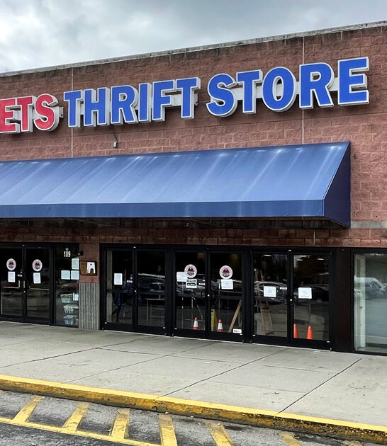 big thrift store tennessee ftr