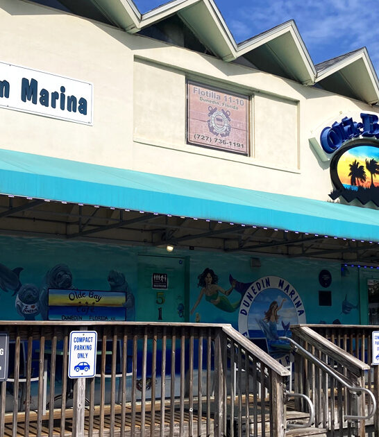 blackened grouper florida sandwich ftr