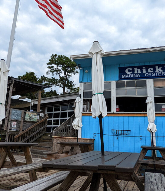 blackened tuna tacos virginia ftr