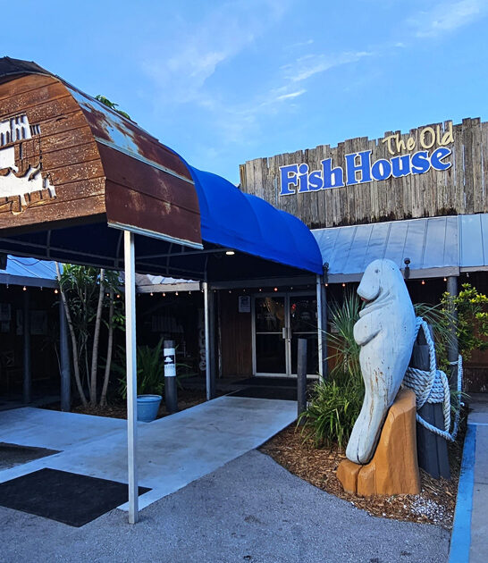 bloody mary unassuming florida ftr