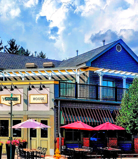 blueberry carrot pennsylvania cake ftr