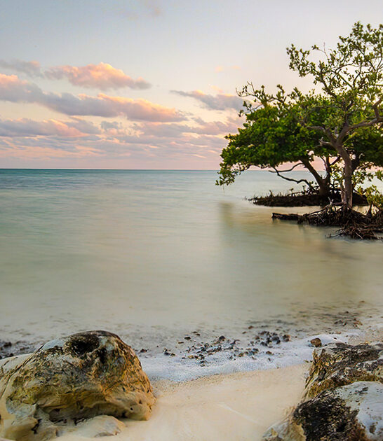 breathtaking beach florida ftr