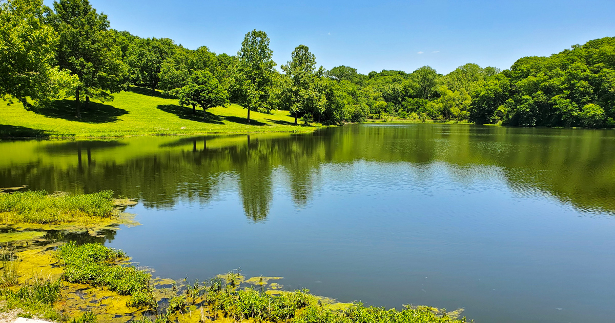 This Breathtaking State Park In Missouri Is A Dream Come True For ...