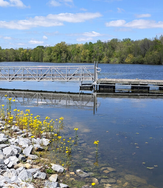 breathtaking park wonder illinois ftr