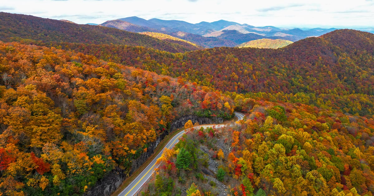 8 Breathtaking Road Trips In Georgia You’ll Be Talking About For Years