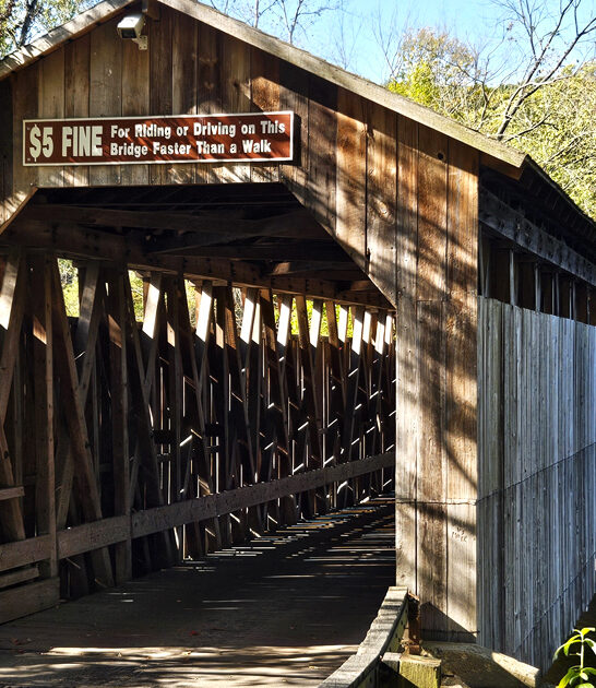 bridge michigan storybook ftr