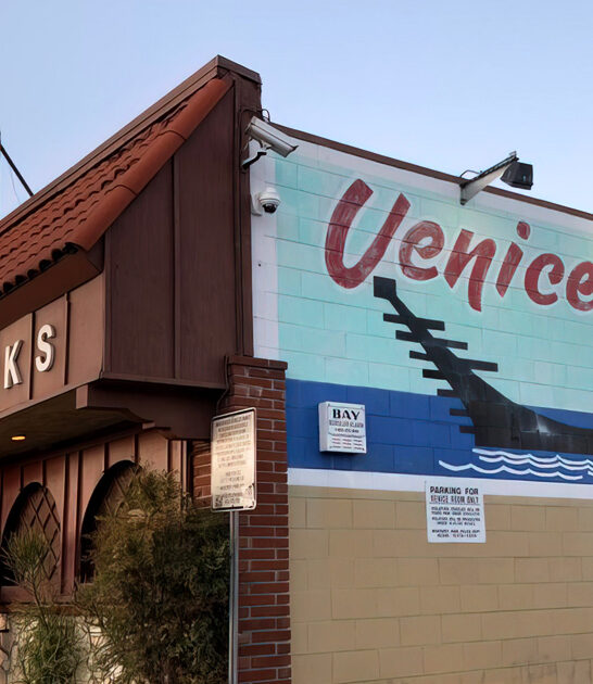 california amazing dive bar ftr