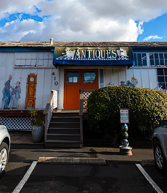 california antique store bargains ftr