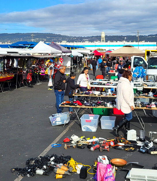 california bargain hunters gold ftr