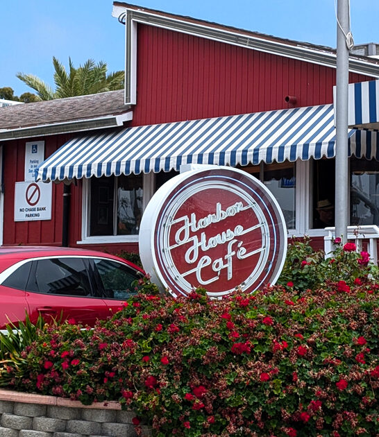 california chicken wings ftr