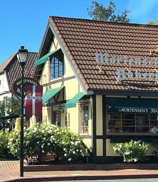 california cinnamon swirl dream ftr