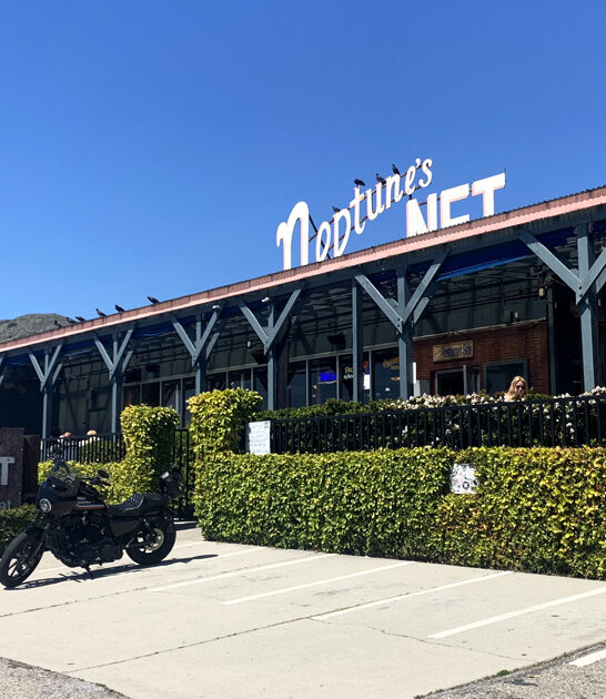 california crab cakes legendary ftr