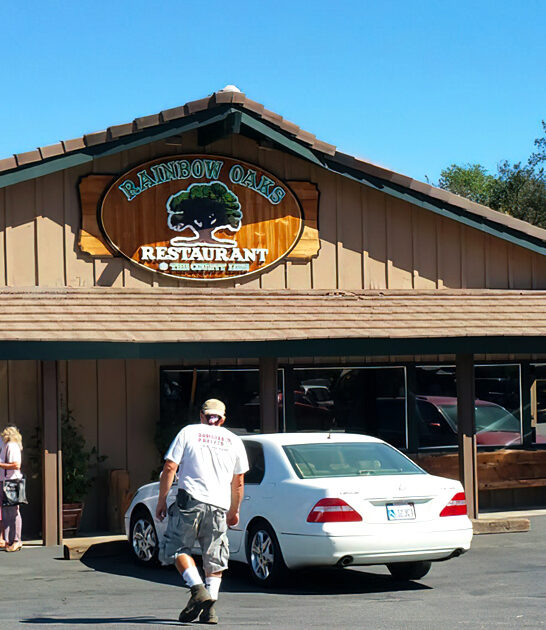 california delicious fried steak ftr