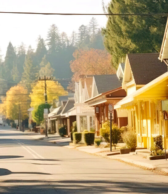 california dreamy hallmark town ftr