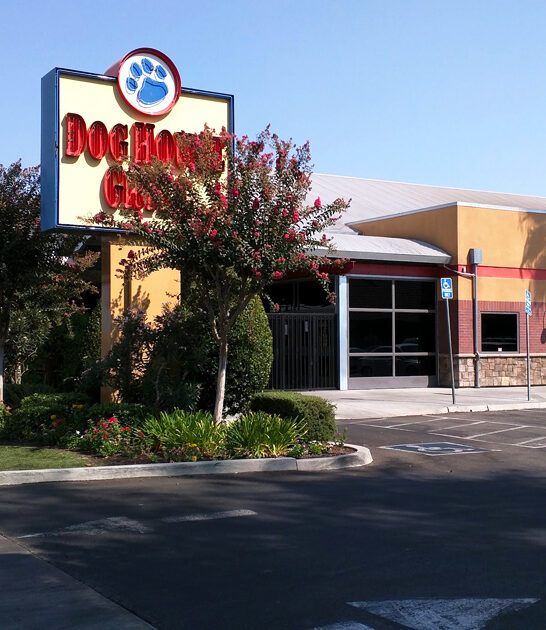 california famous steak sandwich ftr