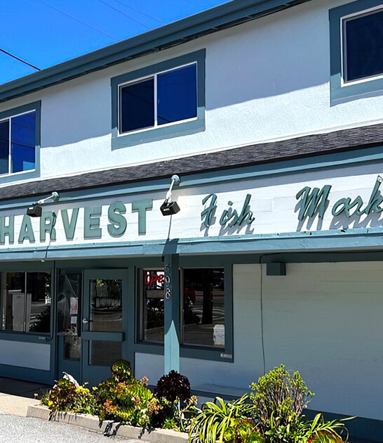 california fish chips hotspot ftr