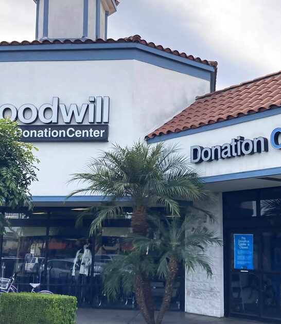 california gigantic thrift paradise ftr