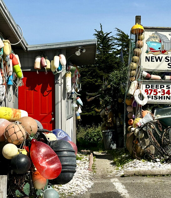 california iconic restaurant calamari ftr