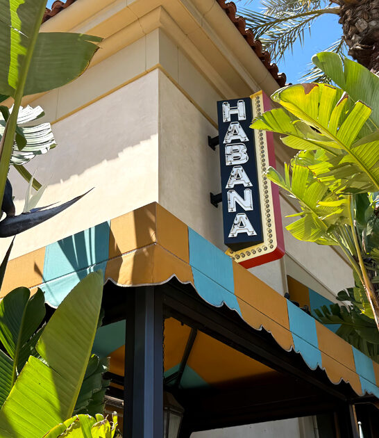 california known vegetable empanadas ftr