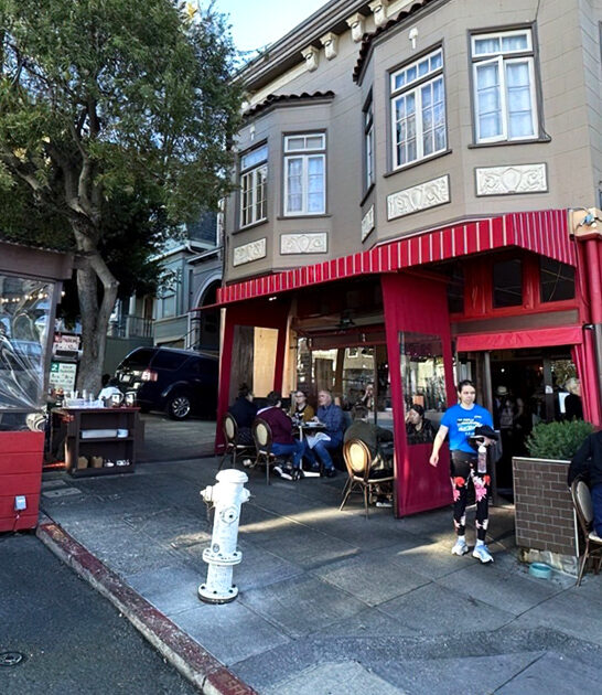 california locals french fries ftr