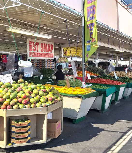 california market flea amazing ftr