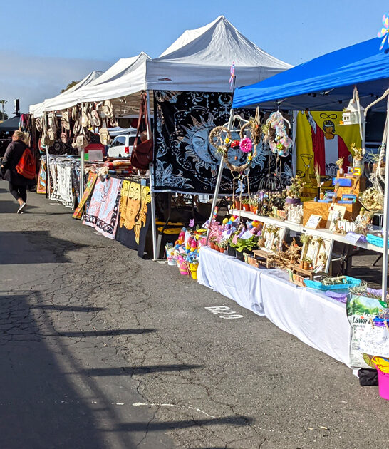 california massive treasures spot ftr