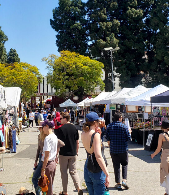 california outrageous bargains market ftr