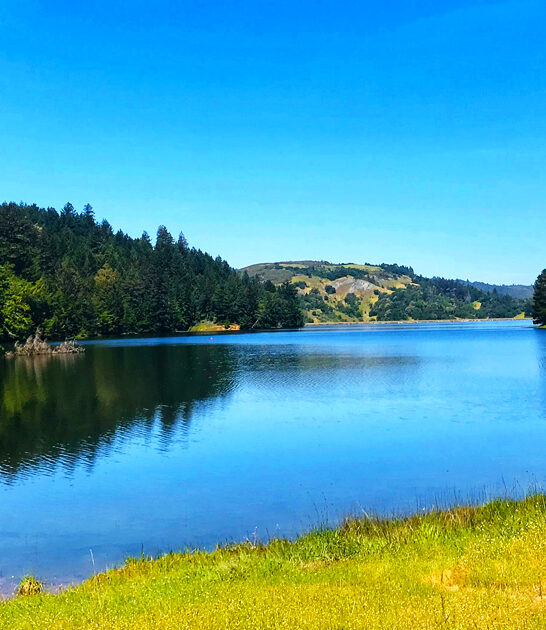 california park state amazing ftr